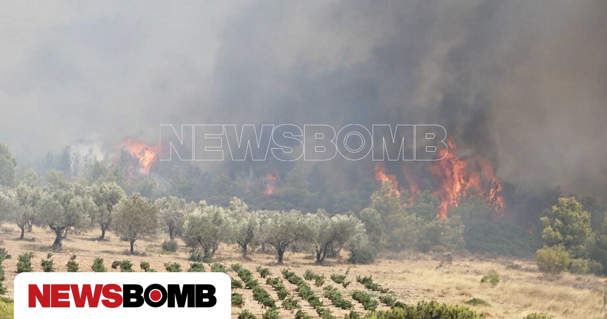 Μαίνεται η φωτιά στην Κερατέα: Ενισχύθηκαν οι πυροσβεστικές δυνάμεις - Νέο μήνυμα 112 - Newsbomb