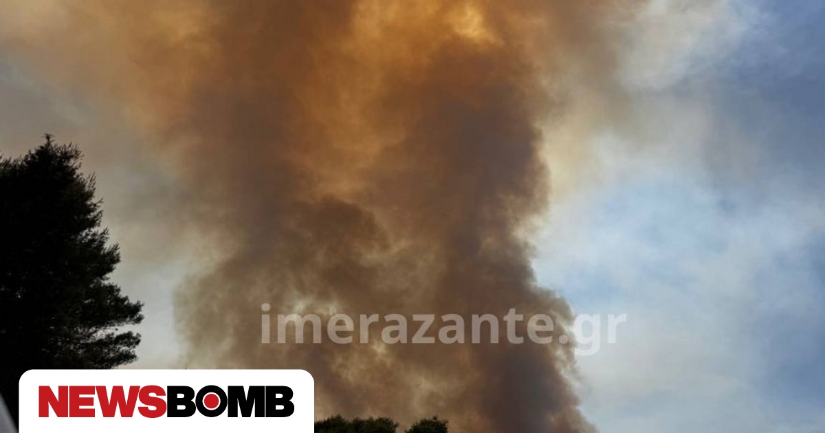 Φωτιά στη Ζάκυνθο: Νέο μήνυμα 112 για εκκένωση από 4 περιοχές - Newsbomb