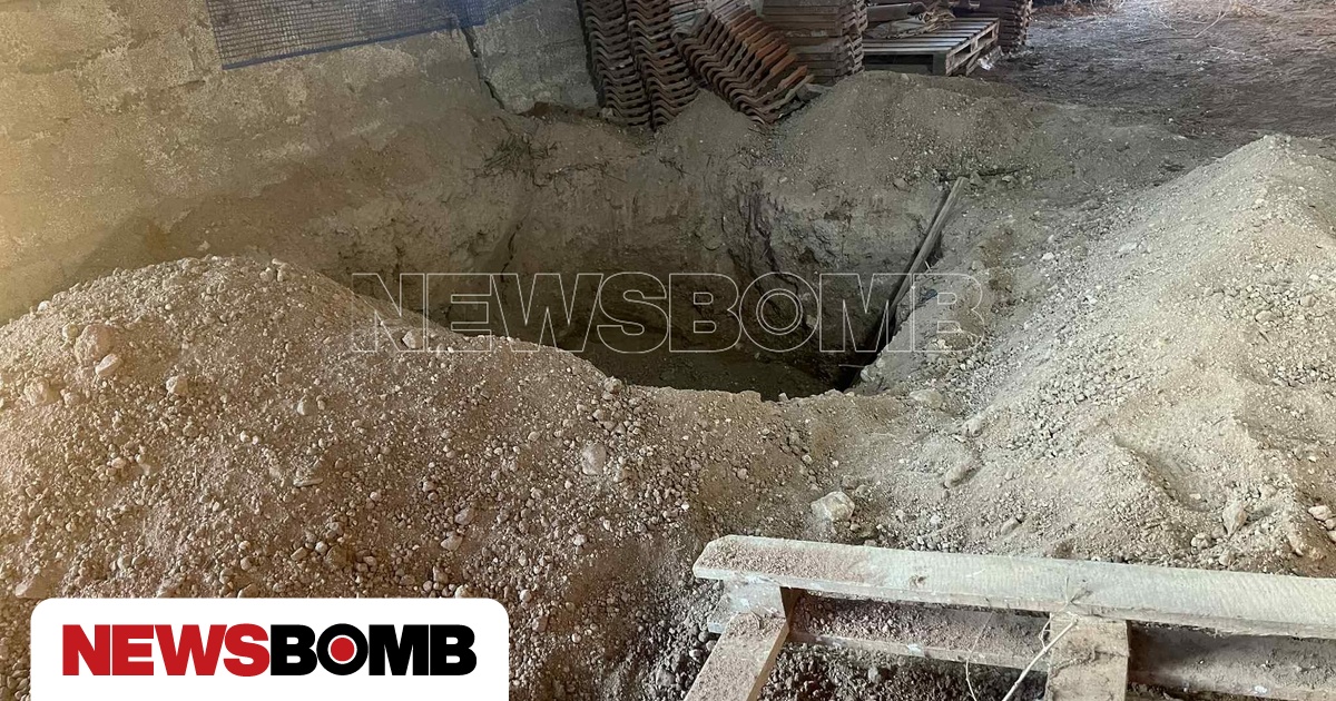 Βοιωτία: Τι αποκαλύπτει ο Τζόνι από την Αλβανία για την 62χρονη και τον ...