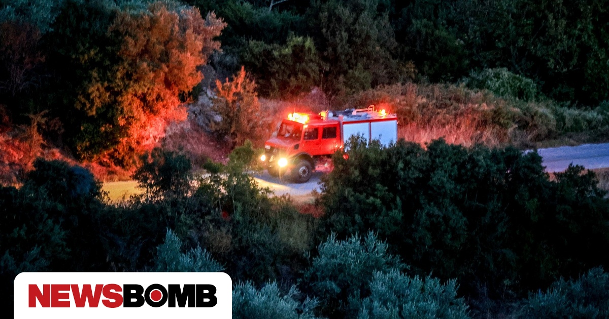 Λάρισα: Πώς ο 53χρονος βρέθηκε να ψάχνει λίρες - Ο μύθος για χρυσό που ...