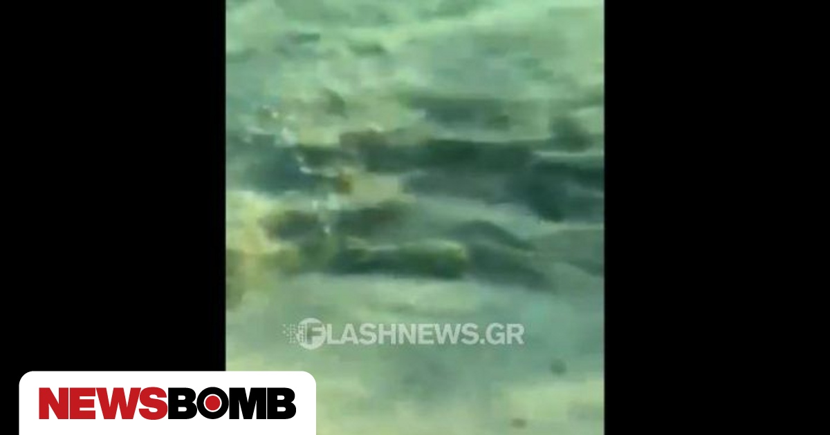 Χανιά: Λουόμενος βρήκε οβίδα στην θάλασσα, λίγα μέτρα μακριά από την ...
