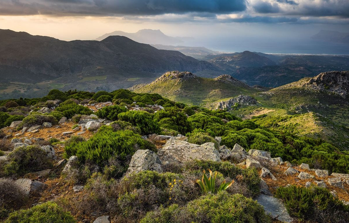 Greece expands marine protected areas and establishes new national ...