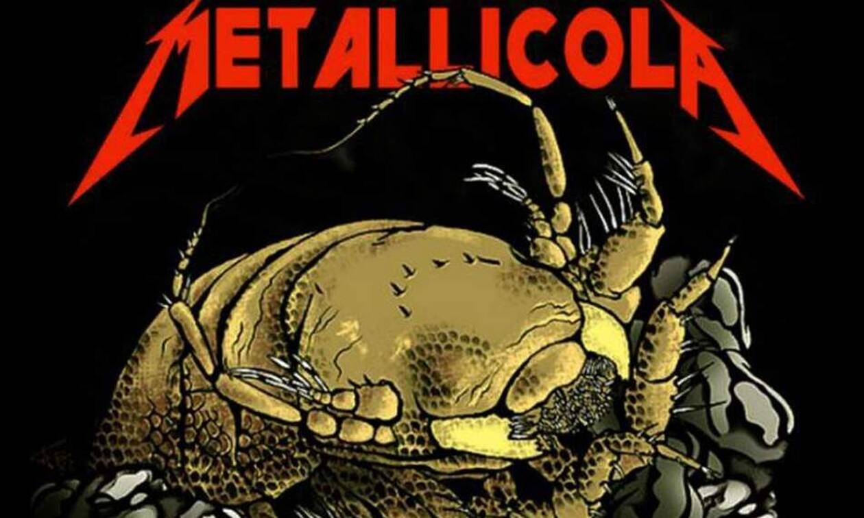 Το νέο οστρακόδερμο που ονομάζεται... Metallica! - Newsbomb