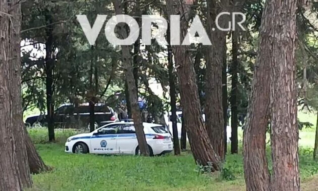 Δολοφονία στη Θεσσαλονίκη: Ο 34χρονος γιος σκότωσε τη μητέρα του που ...