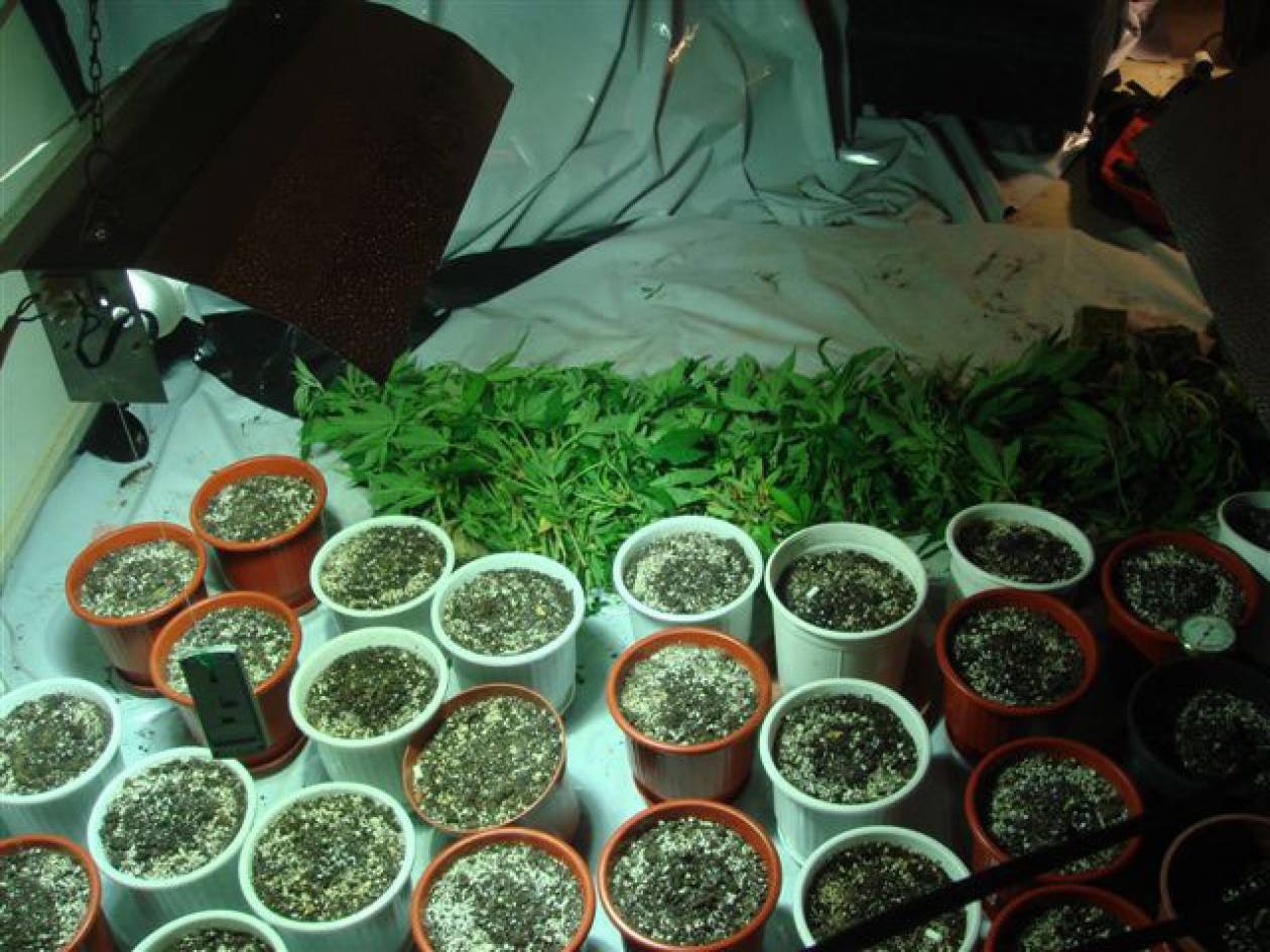 Mαριχουάνα....STOP! - Newsbomb