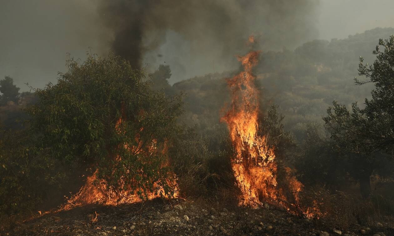 Πύργος: Συνελήφθη ένας άνδρας για εμπρησμό από αμέλεια στην κοινότητα ...