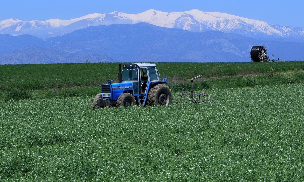 Αγρoτικά: Σε λειτουργία η υπηρεσία έκδοσης βεβαίωσης Επαγγελματία ...
