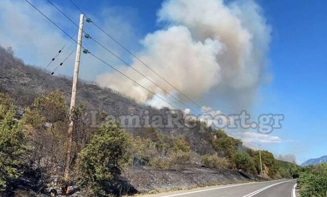 Φωτιά στη Φθιώτιδα: Απειλούνται σπίτια - Διακοπή της κυκλοφορίας στην ...