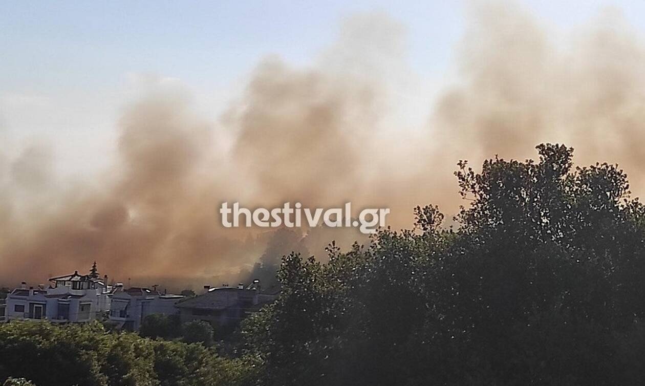 Θεσσαλονίκη: Φωτιά ΤΩΡΑ στην Πυλαία - Κοντά σε σπίτια οι φλόγες - Newsbomb
