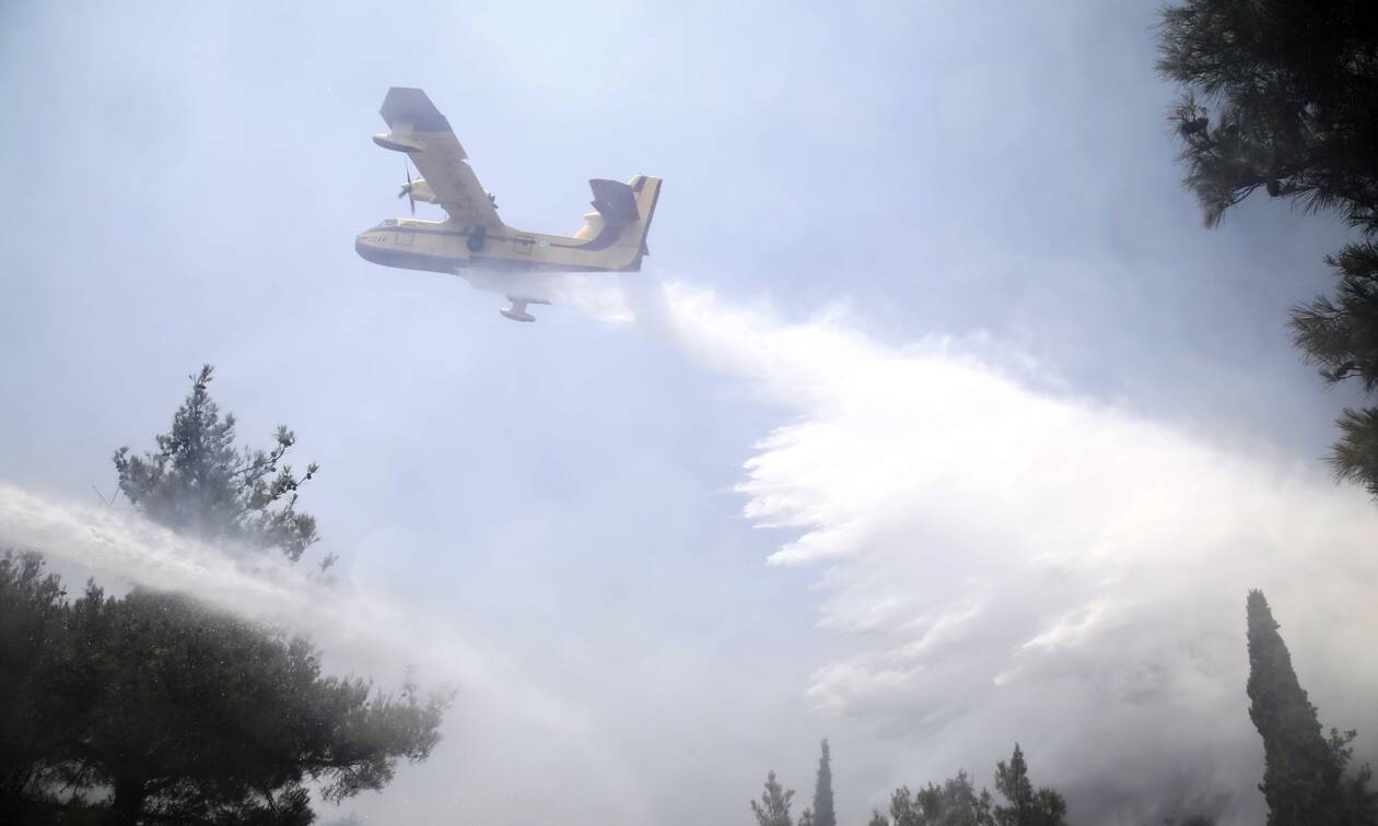 Υψηλός κίνδυνος πυρκαγιάς την Πέμπτη - Σε «πορτοκαλί» συναγερμό Αττική ...