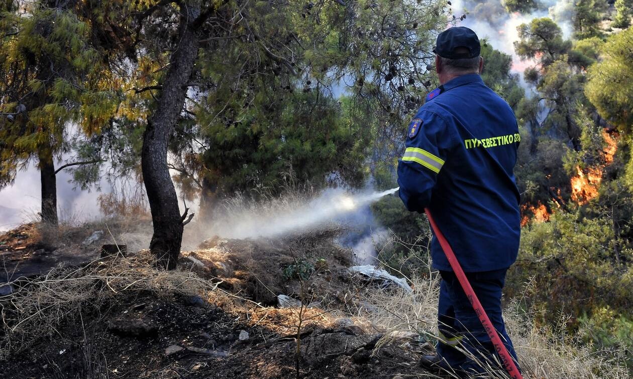 Φωτιά ΤΩΡΑ στην Αργολίδα - Συναγερμός στην Πυροσβεστική - Newsbomb