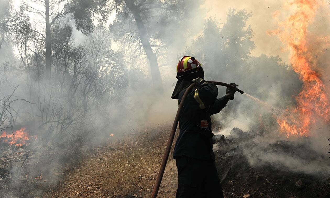 Ειδικό σώμα 500 δασοκομάντος στην Πυροσβεστική - Αρχίζει η εκπαίδευσή ...