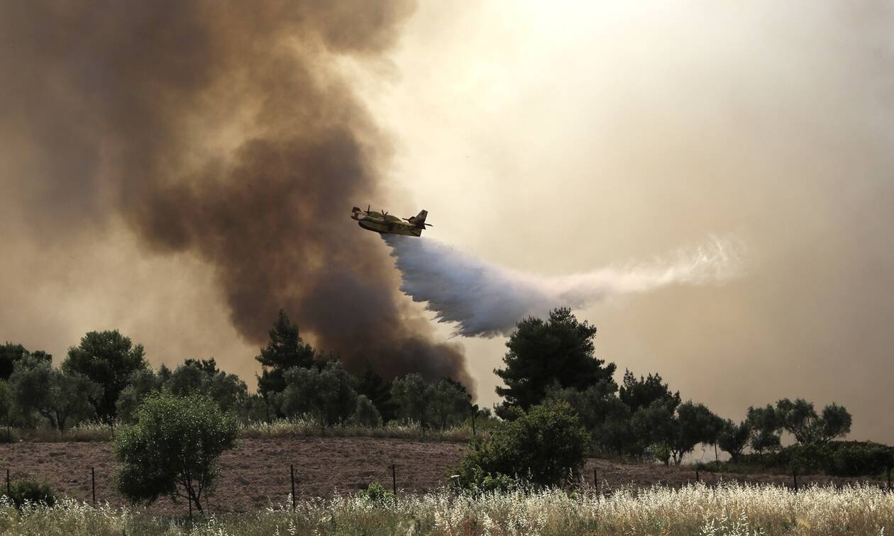 Φωτιά τώρα στα Γεράνεια Όρη πάνω από το Λουτράκι: Ενίσχυση δυνάμεων ...