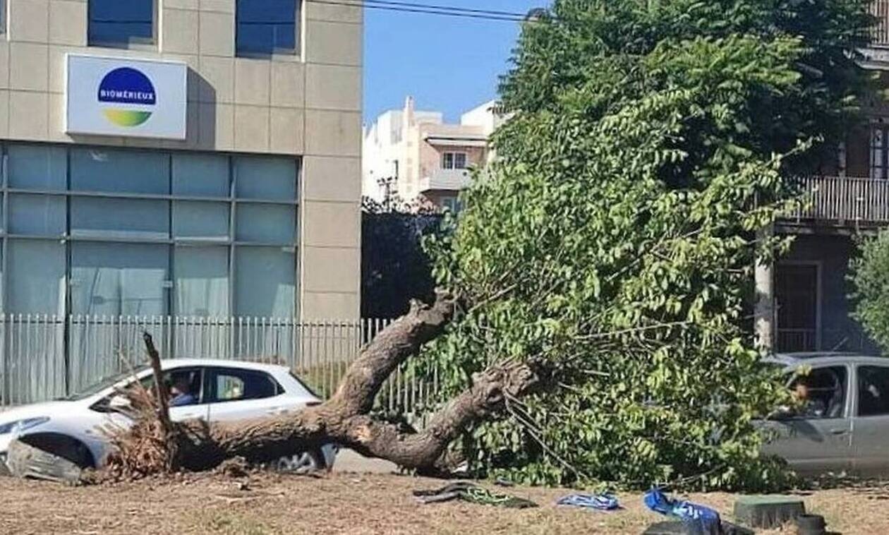 Χαλάνδρι: Τα ερωτήματα για τον τραγικό θάνατο του 18χρονου – Τι ερευνά ...