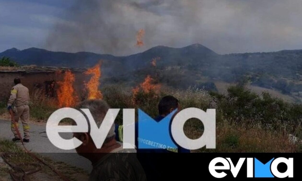 Εύβοια: Φωτιά τώρα στο Βασιλικό κοντά σε σπίτια - Newsbomb