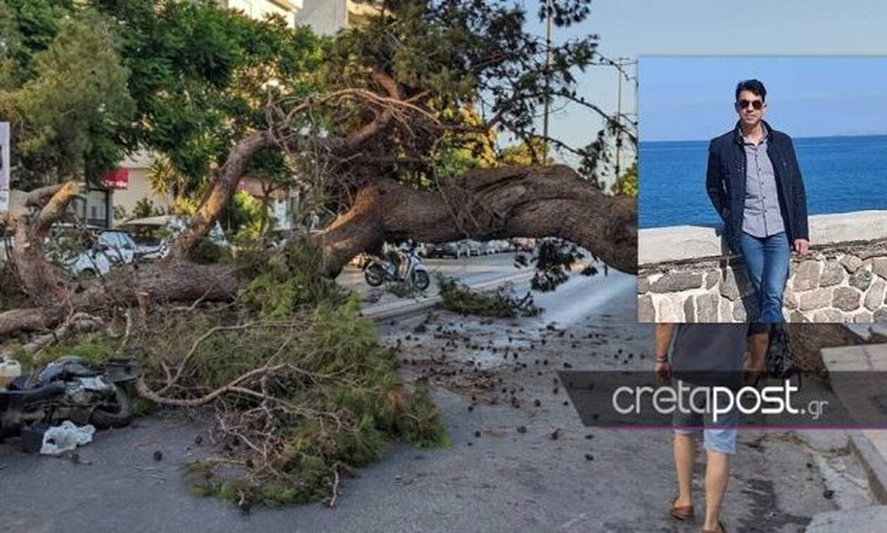 Θάνατος 50χρονου από δέντρο: Συγκλονίζει η χήρα του - «Ζητάμε την ...