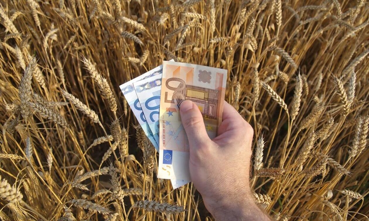 Νέοι Αγρότες: 1.101 οι δικαιούχοι στην Περιφέρεια Πελοποννήσου - Θα ...