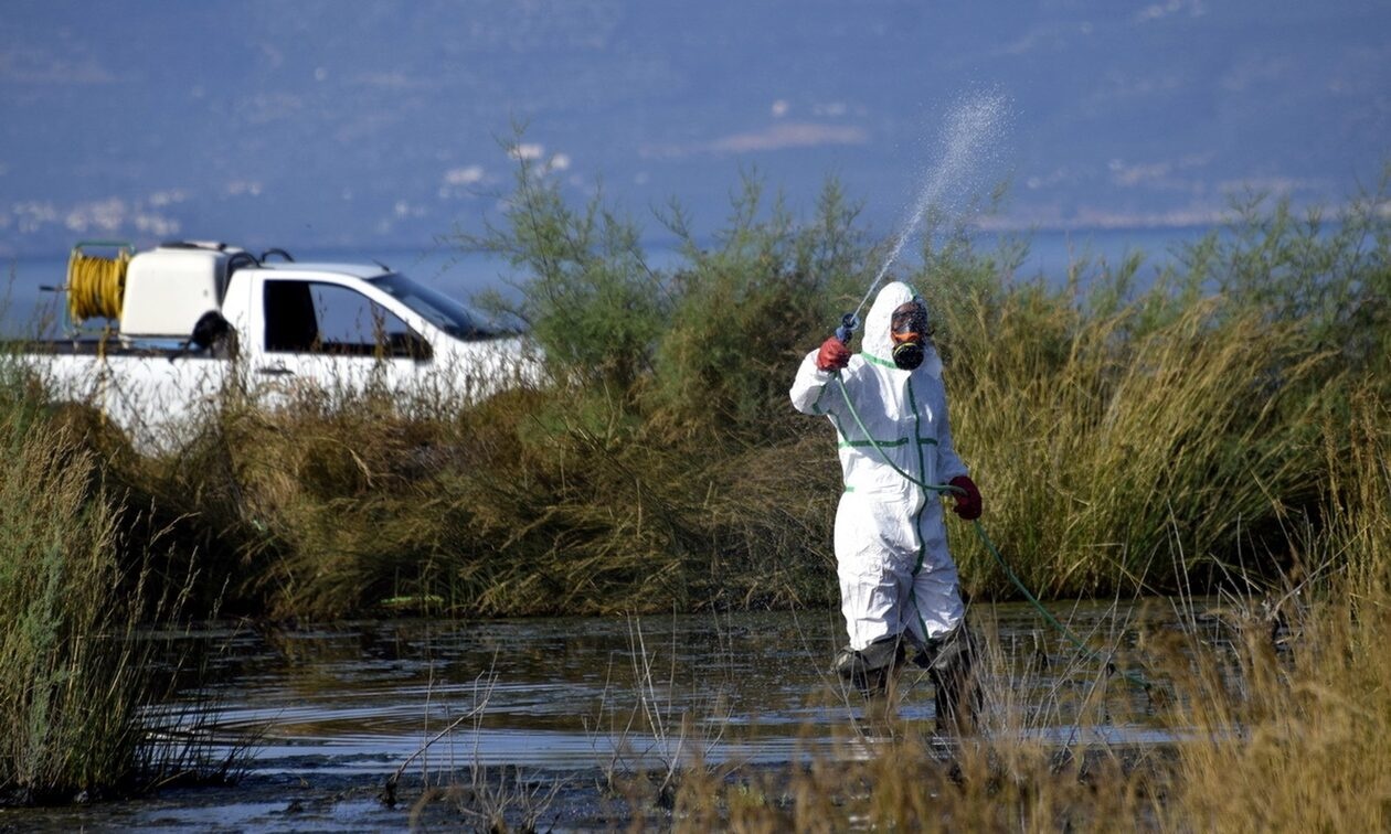 Αττική: Συνεχίζονται από την Περιφέρεια οι ψεκασμοί για την ...