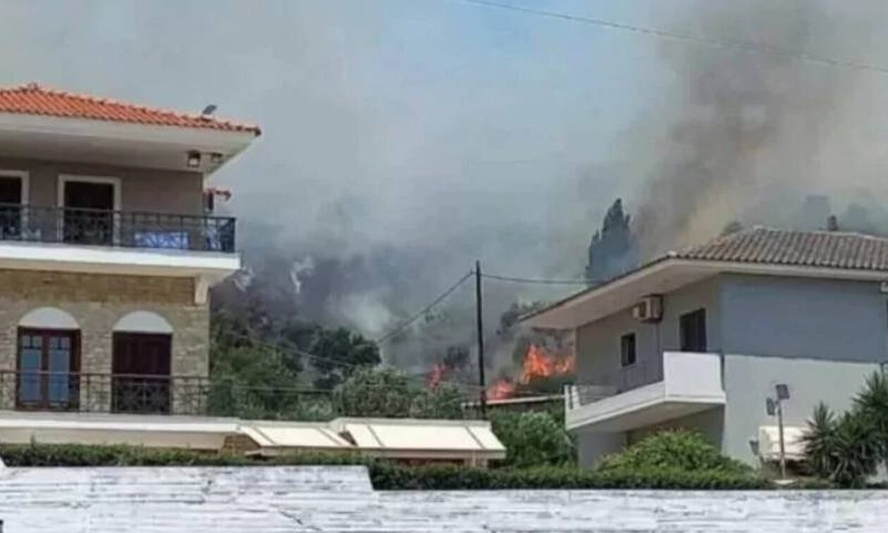 Φωτιά στη Ναύπακτο: Συνελήφθηκαν δυο ανήλικοι και κατηγορούνται για ...