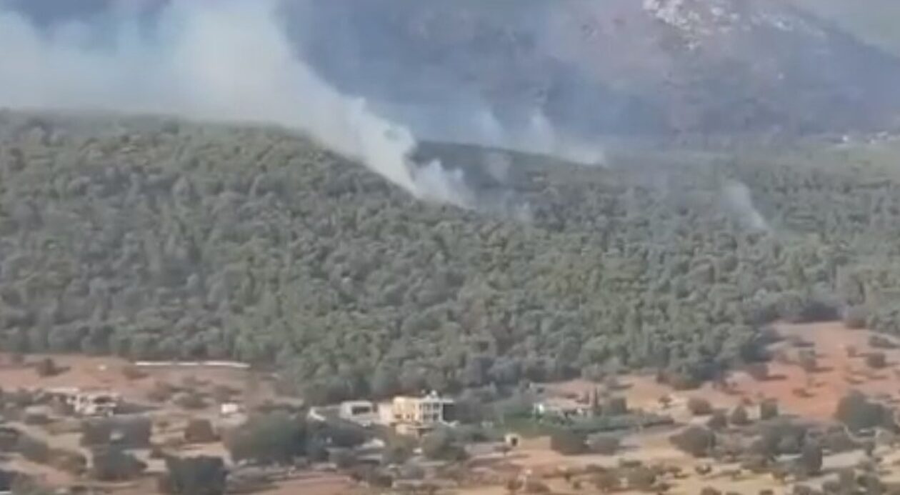 Βίντεο από το drone της Πυροσβεστικής: Κρανίου τόπος η Νέα Ζωή Μάνδρας ...