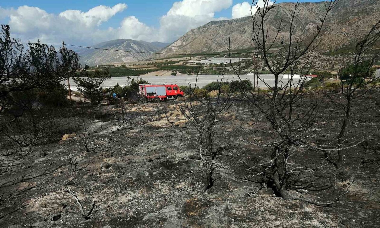 Φωτιά στο Ελαφονήσι: Πρόλαβε τα χειρότερα η Πυροσβεστική - Newsbomb