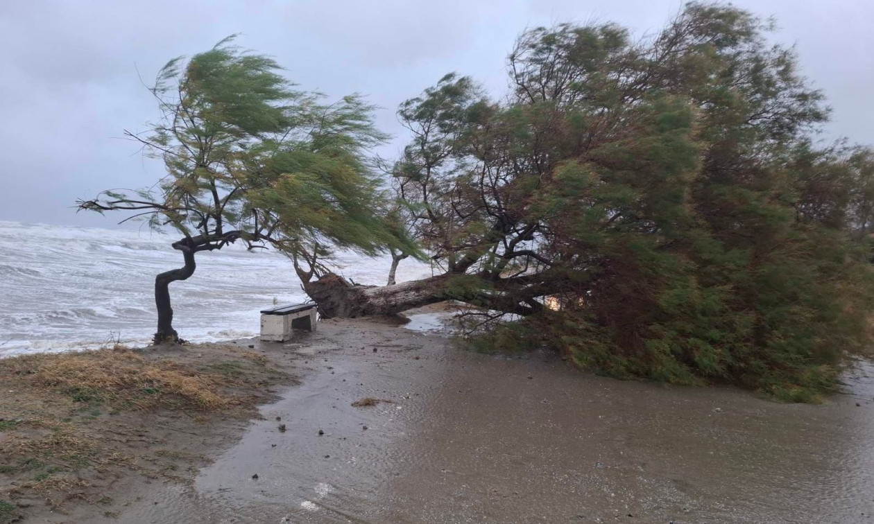 Κακοκαιρία Bora: Η θάλασσα «βγήκε» στη στεριά, πολλές πτώσεις δέντρων ...