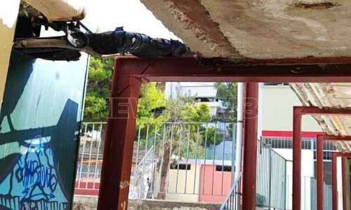 Σοκ στη Θεσσαλονίκη: Τρία σκυλιά κατασπάραξαν 50χρονη - Χειροπέδες στον ...