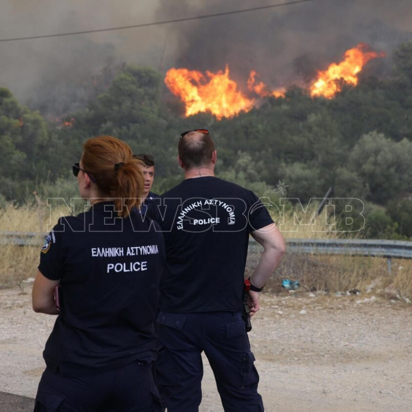 Φωτιά τώρα: Καίγονται σπίτια στη Νέα Ζωή Μάνδρας - Newsbomb