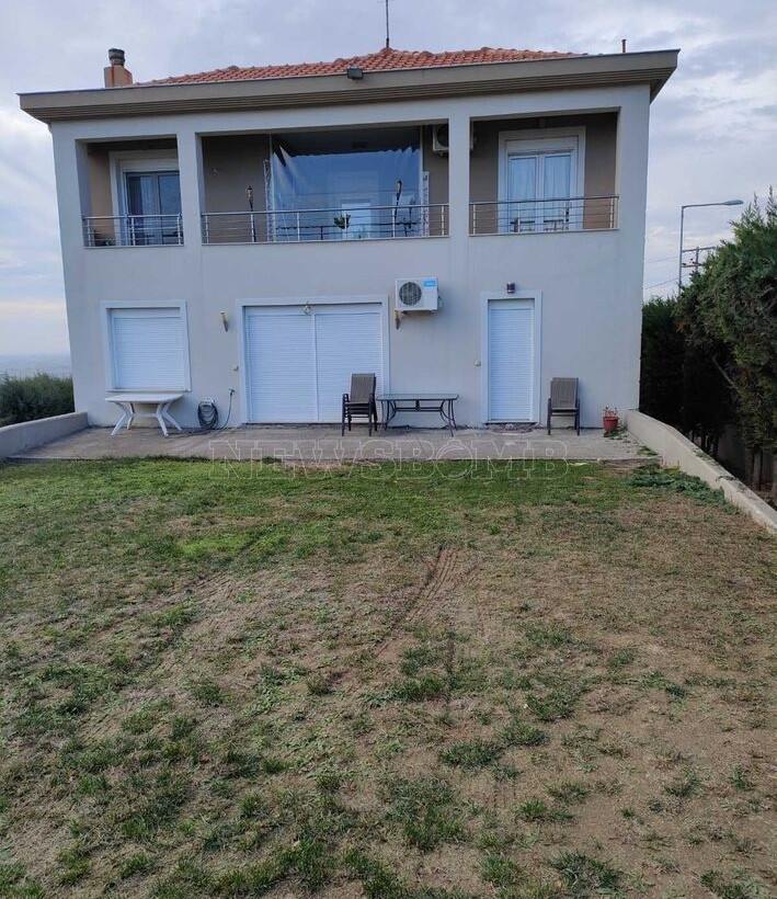 Θεσσαλονίκη: Από αυτό το σημείο βγήκαν τα σκυλιά και κατασπάραξαν την 50χρονη-Κωφάλαλος ο ...