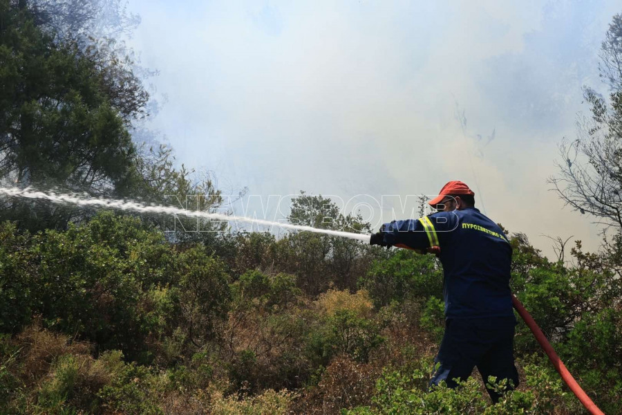 Φωτιά στον Μαραθώνα: Εκκενώθηκε το Άνω Σούλι - «Καλύτερη η εικόνα» μετά τις 16:00 - Newsbomb