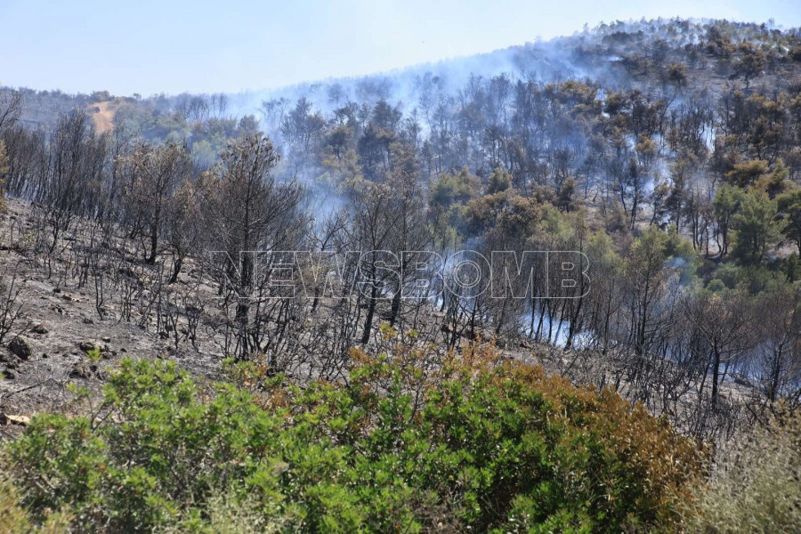 Φωτιά στον Μαραθώνα: Εκκενώθηκε το Άνω Σούλι - «Καλύτερη η εικόνα» μετά τις 16:00 - Newsbomb