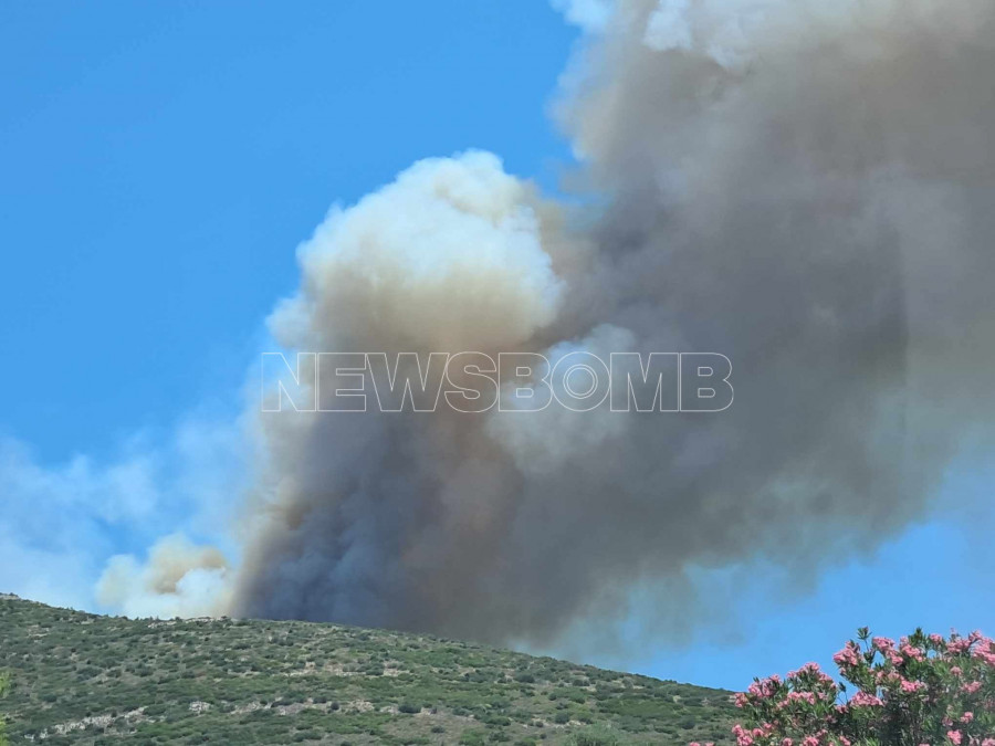 Φωτιά στον Μαραθώνα: Εκκενώθηκε το Άνω Σούλι - «Καλύτερη η εικόνα» μετά τις 16:00 - Newsbomb