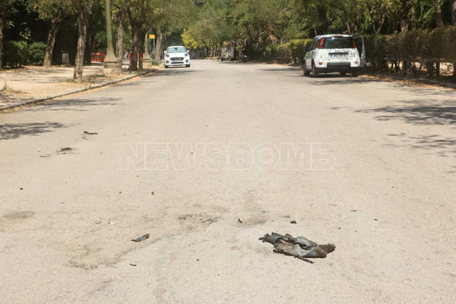 Αυτοπυρπολήθηκε γυναίκα στο Ζάππειο - Newsbomb