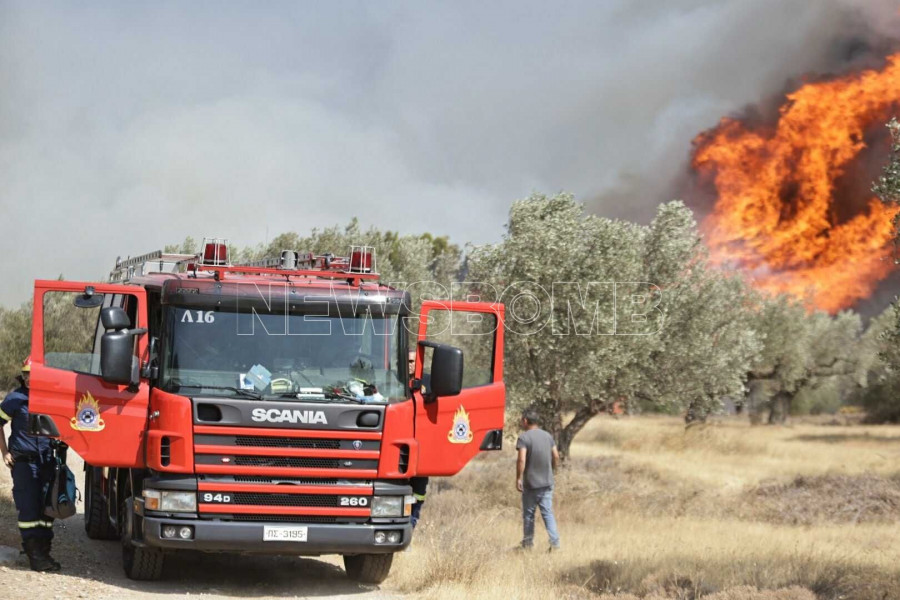 Μαίνεται η φωτιά στην Κερατέα: Ενισχύθηκαν οι πυροσβεστικές δυνάμεις - Νέο μήνυμα 112 - Newsbomb