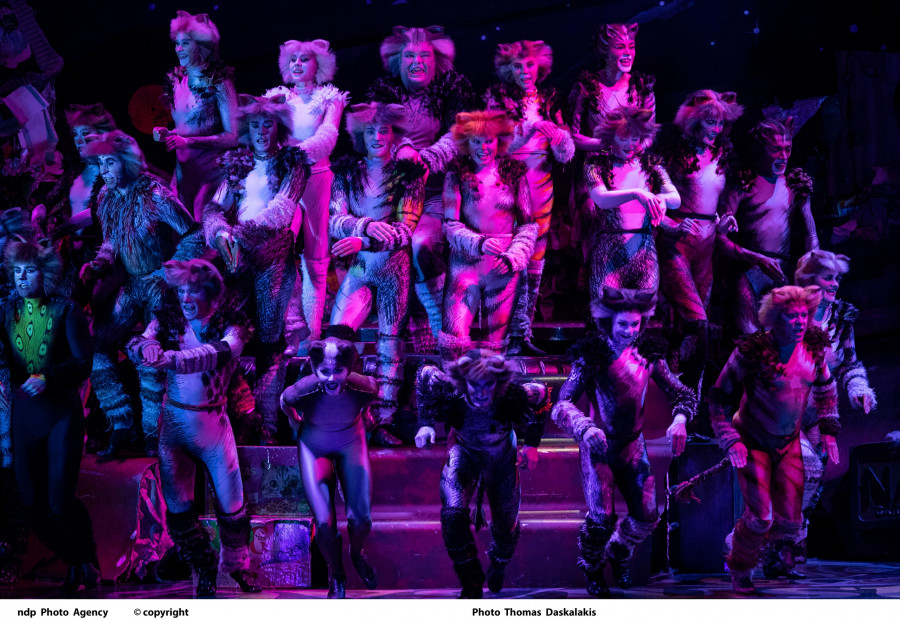 Η Μνήμη ζωντανεύει ξανά – Το «Cats» επιστρέφει σε Αθήνα και Θεσσαλονίκη - Newsbomb